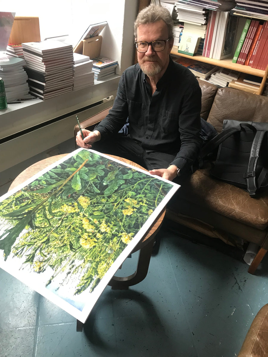Steffen Kverneland: Blomstereng. Signert HQ print – No Comprendo Press